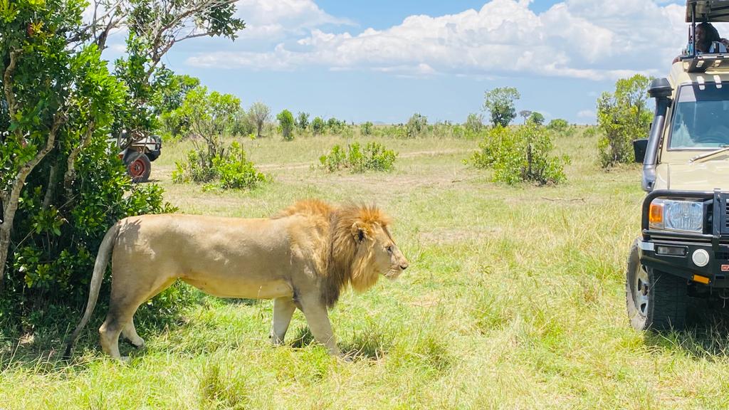 3 days serengeti national park safari - Adventure Backpackers Tanzania Ltd